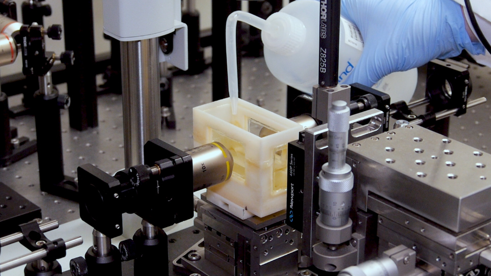 Light Sheet Microscopy Olympus | Shelly Lighting