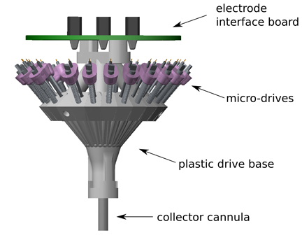 Micro-drive Array for Chronic in vivo Recording: Drive Fabrication ...