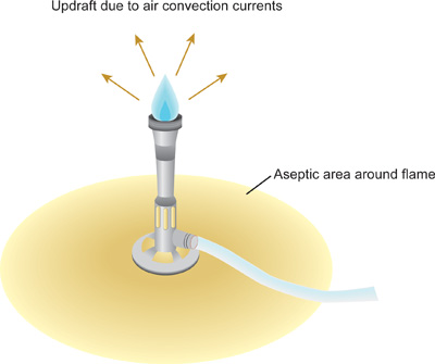 Aseptic Laboratory Techniques: Volume Transfers with Serological ...