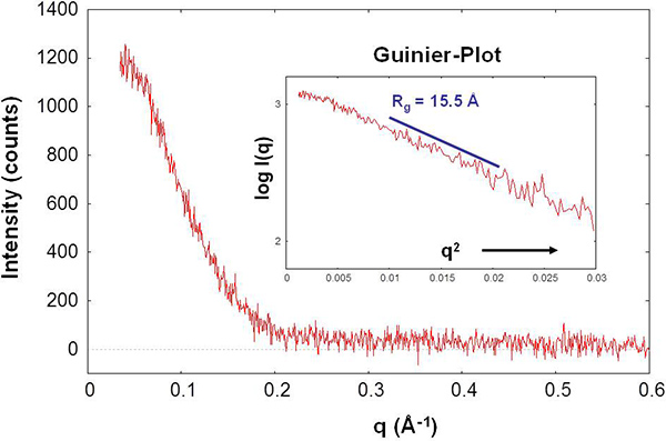 Small and Wide Angle X-Ray Scattering Studies of Biological ...