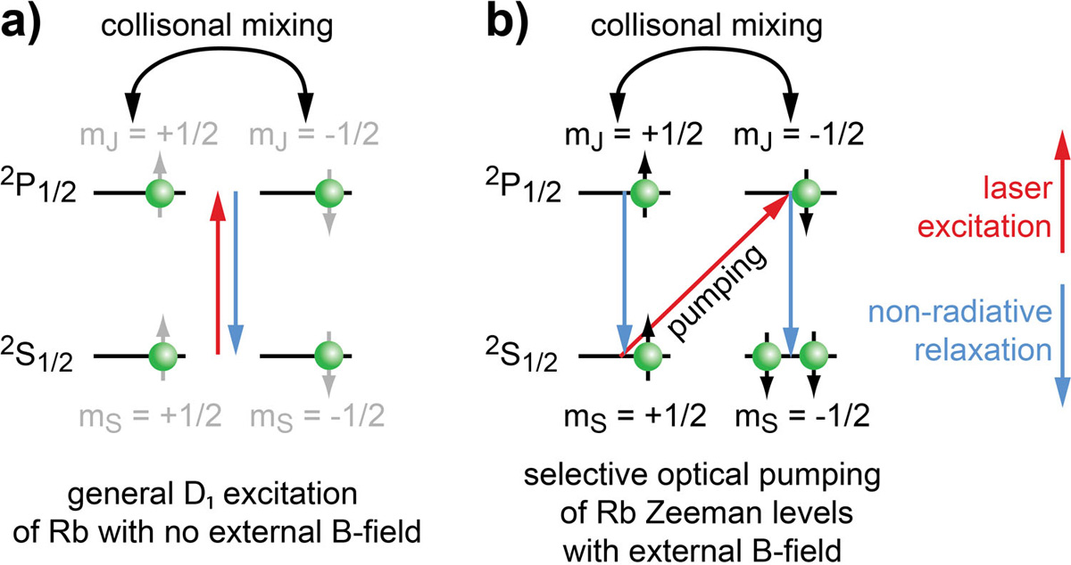 Hyperpolarized Xenon For Nmr And Mri Applications Protocol