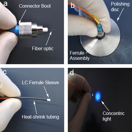 Fiber-optic Implantation for Chronic Optogenetic Stimulation of Brain ...