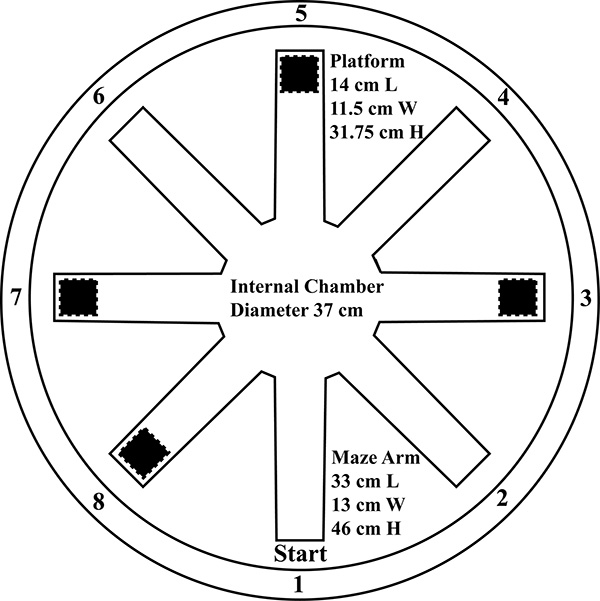 Use of an Eight-arm Radial Water Maze to Assess Working and Reference ...