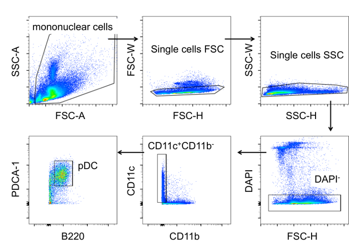Fluorescence-activated Cell Sorting for Purification of Plasmacytoid ...