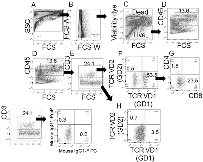 Isolation and Flow Cytometric Analysis of Human Endocervical Gamma ...
