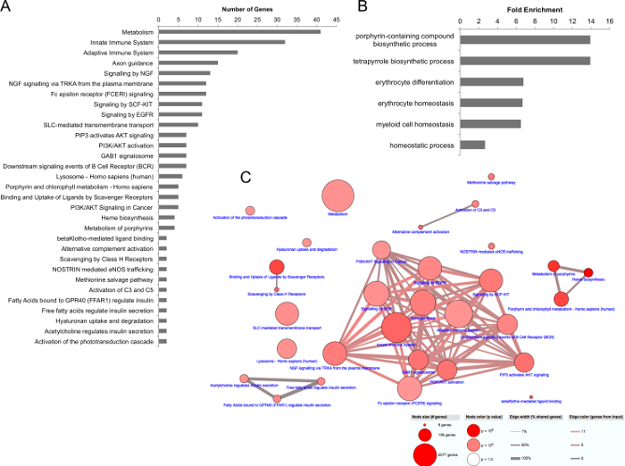 Sample Preparation and Analysis of RNASeq-based Gene Expression Data ...