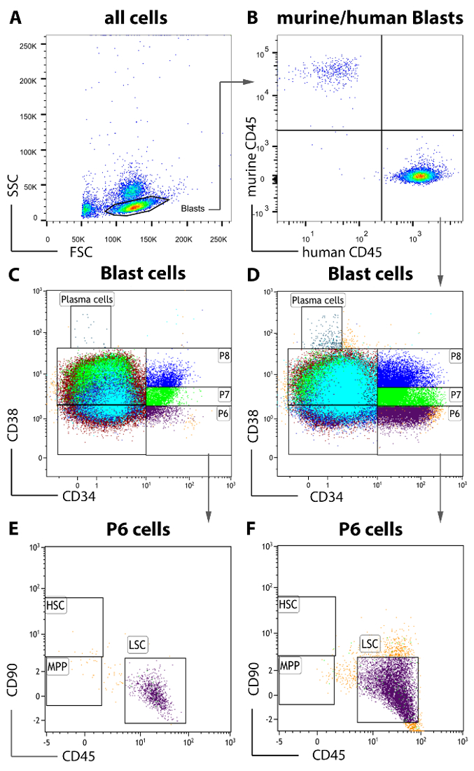 Flow Cytometry to Estimate Leukemia Stem Cells in Primary Acute Myeloid ...