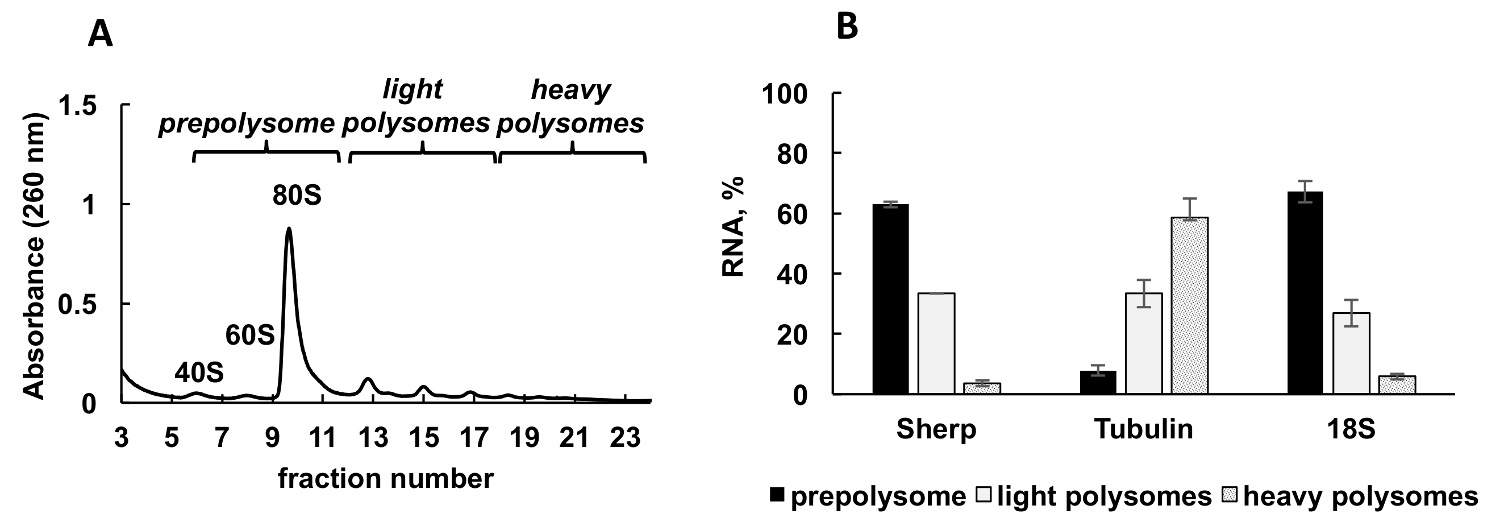 Polysome Profiling in Leishmania, Human Cells and Mouse Testis | Protocol