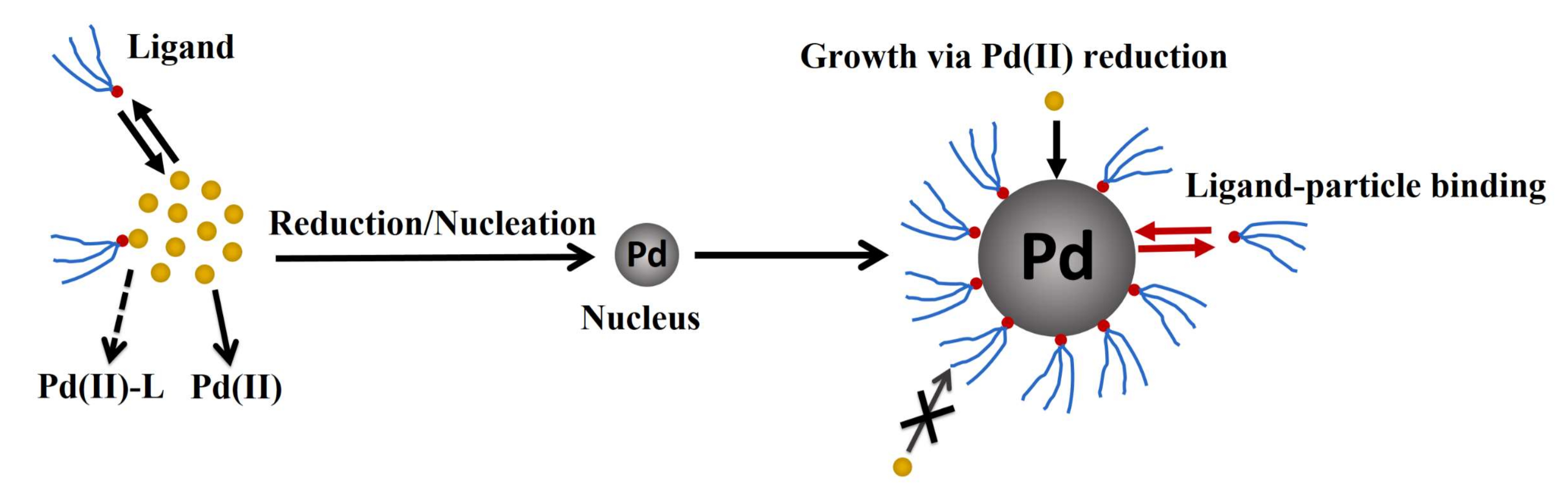 Ligand-Mediated Nucleation and Growth of Palladium Metal Nanoparticles ...