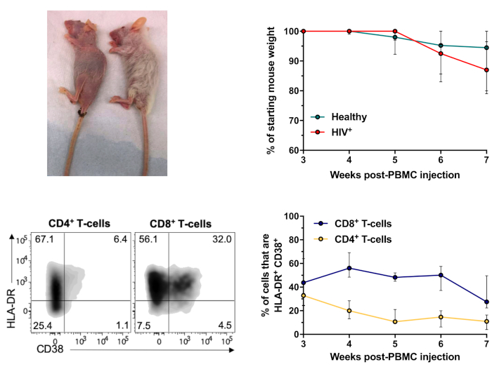Chronic, Acute, and Reactivated HIV Infection in Humanized ...